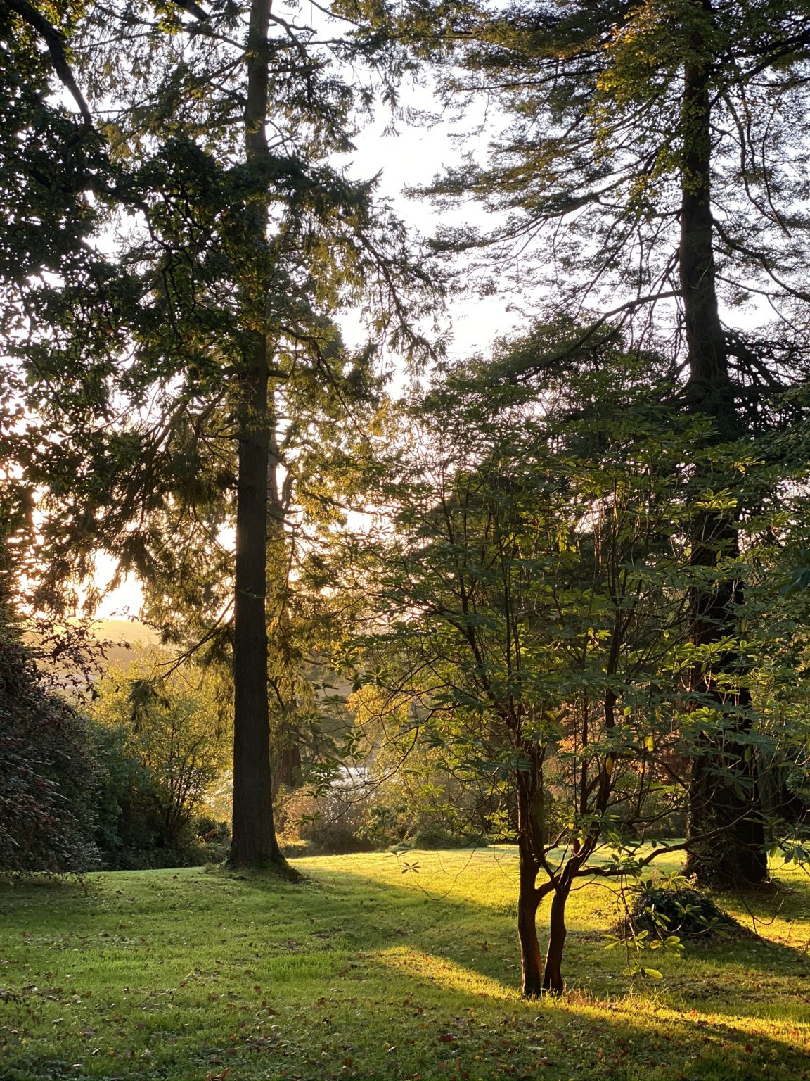 Our Story - Brook Hall Estate & Gardens