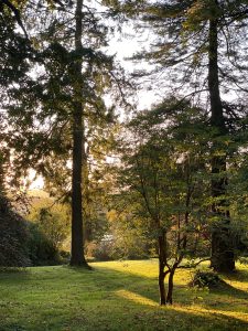Our Story - Brook Hall Estate & Gardens