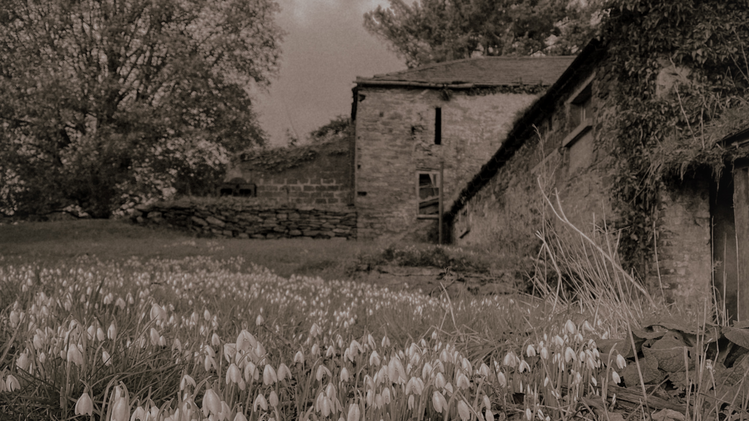 Home - Brook Hall Estate & Gardens