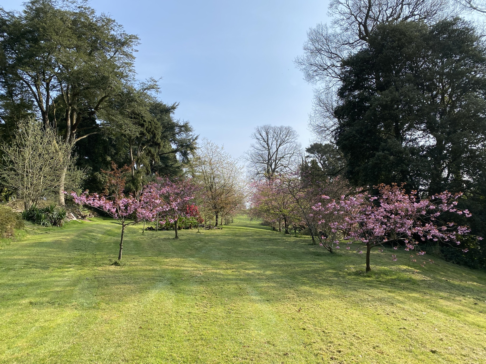 Home - Brook Hall Estate & Gardens